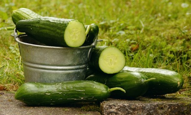 French Cucumber|Scents By the Bay